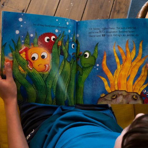 Bright Stanley and the Mermaid Tale » Muddy Publishing